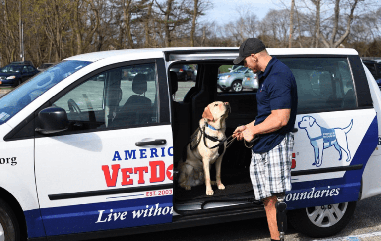 America's VetDogs Making a Difference │ U.S. Veterans Magazine